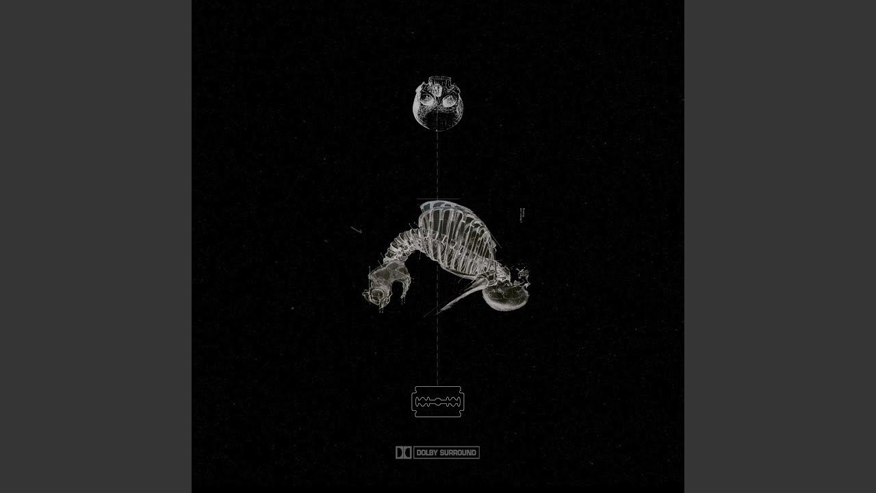 the anatomy of a razorblade - YouTube