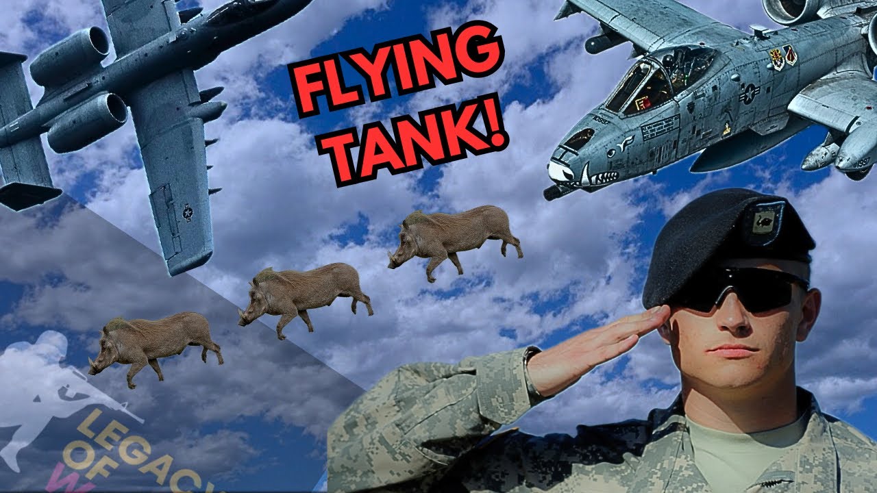 A-10 Warthog: The Flying Tank Loved By Soldiers - YouTube