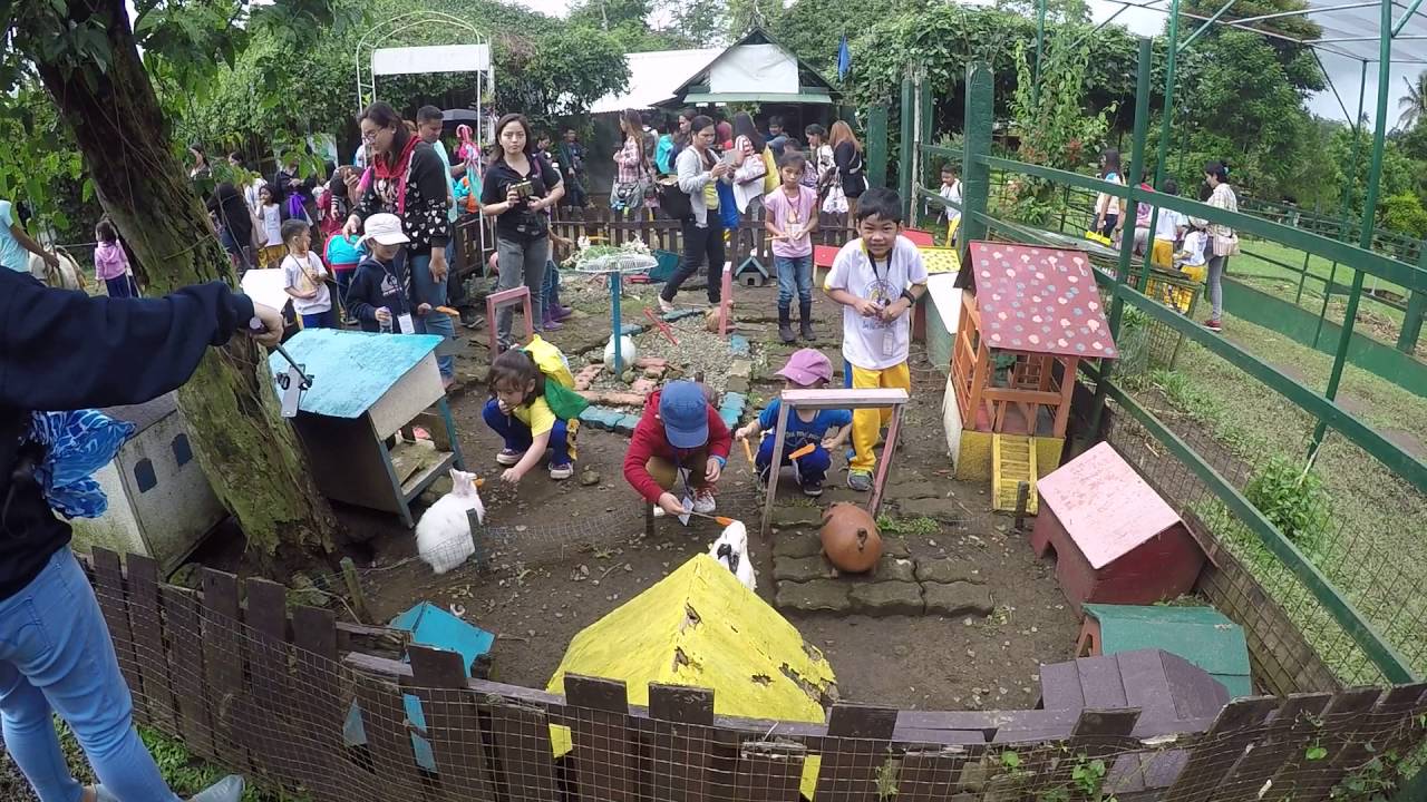 Paradizoo, Tagaytay - YouTube