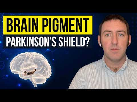 Neuromelanin: The Brain Pigment Protecting Dopamine Cells
