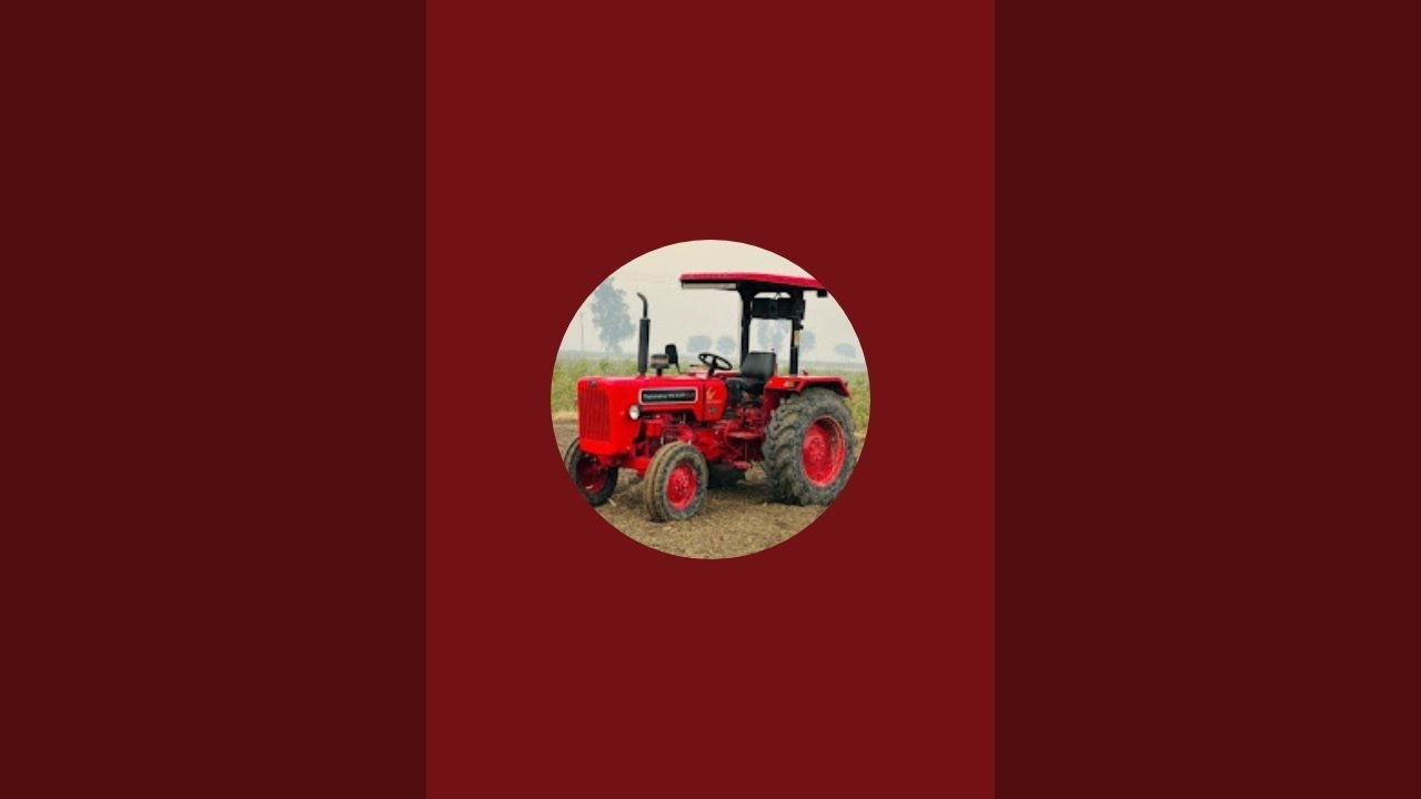 lal ghoda 585 is live - YouTube
