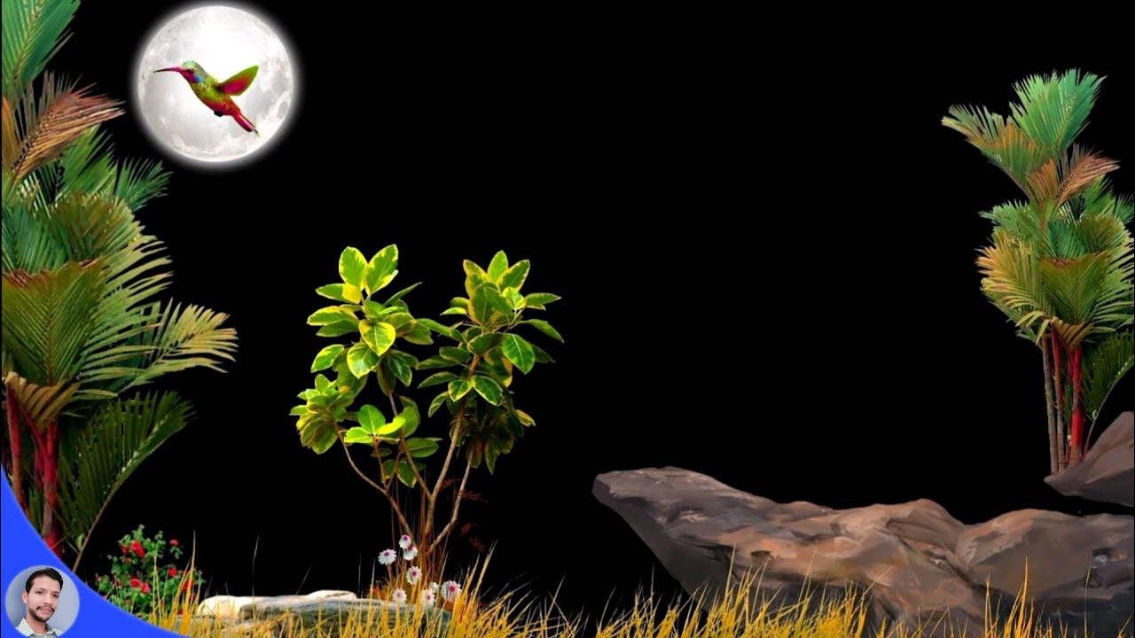 New Background Video / Background Video Effects hd / Nature Background ...