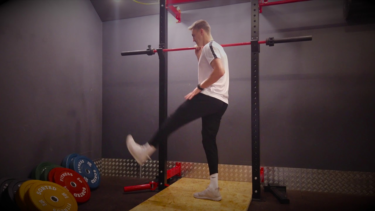 Front Kicks (Dynamic) - YouTube