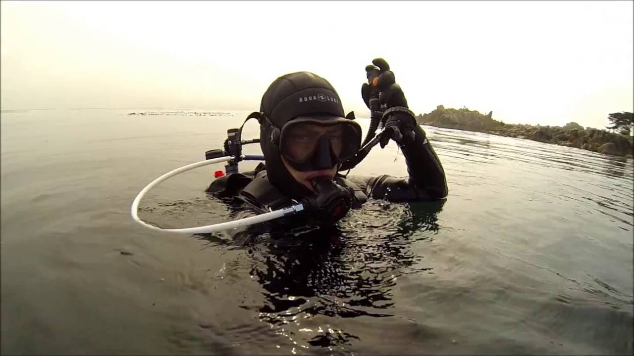Scuba Diving and spearfishing in Monterey California - YouTube
