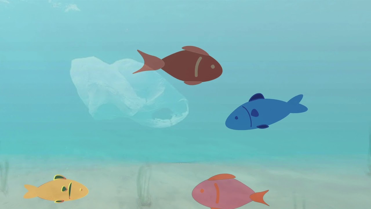 Protecting Our Ocean Short Animation - YouTube