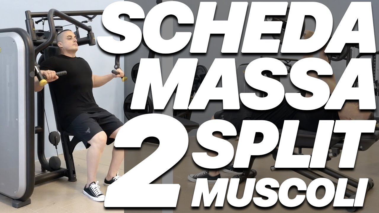 Scheda Massa Muscolare: i 2 Modi Migliori per Dividere i Muscoli (NO ...