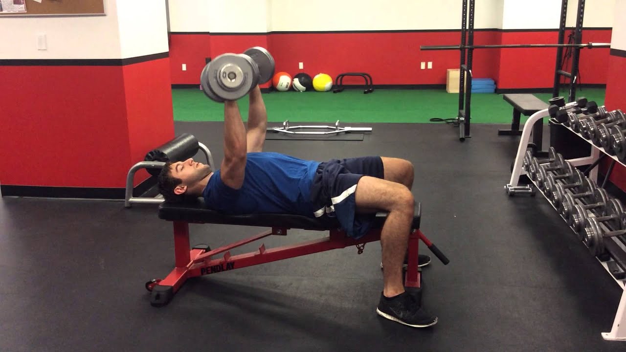 DB Bench Press - YouTube