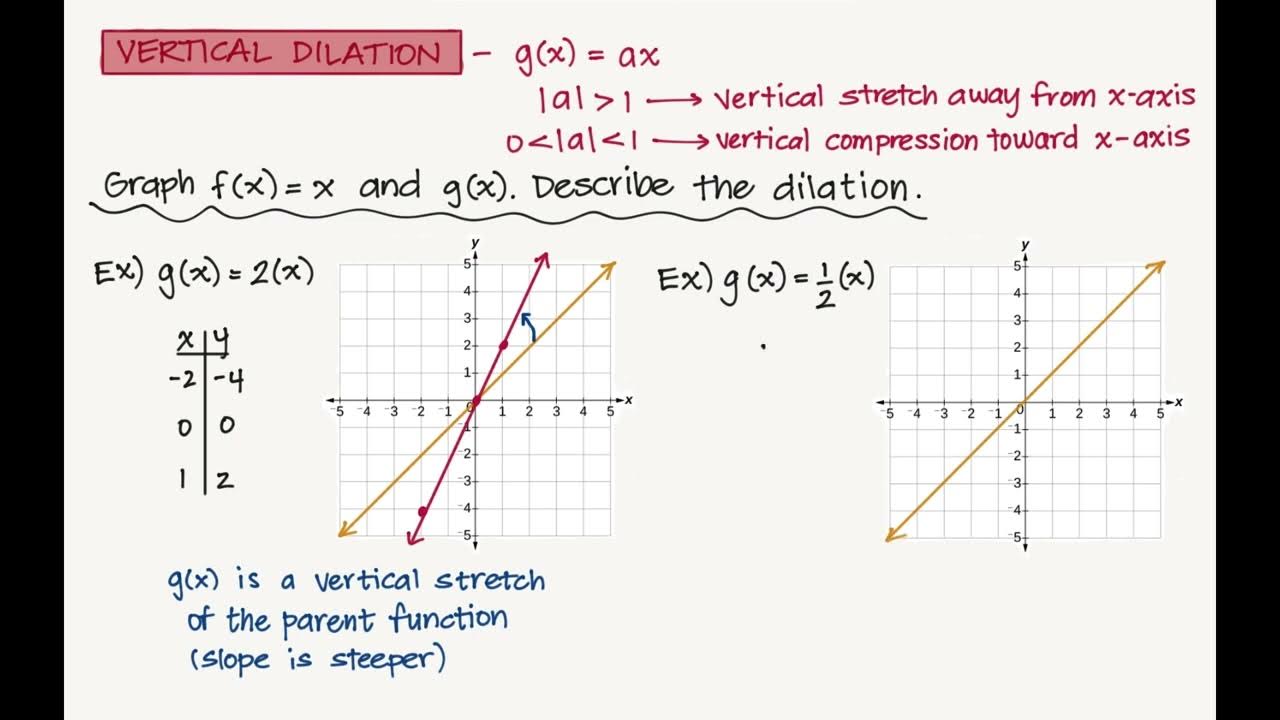 MH Reveal Math Algebra1 4-4: Transformations of Linear Functions - YouTube