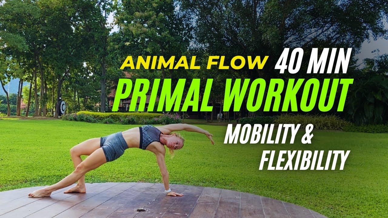 Primal Workout: Unlocking Mobility, Flexibility and Strength | Animal ...