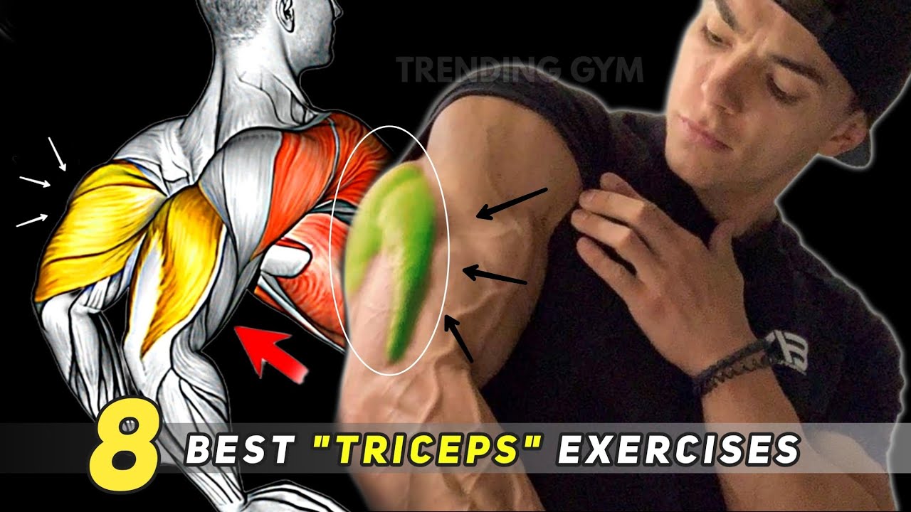 Triceps Day Routine - 8 Best ARMS Exercises Routine - YouTube