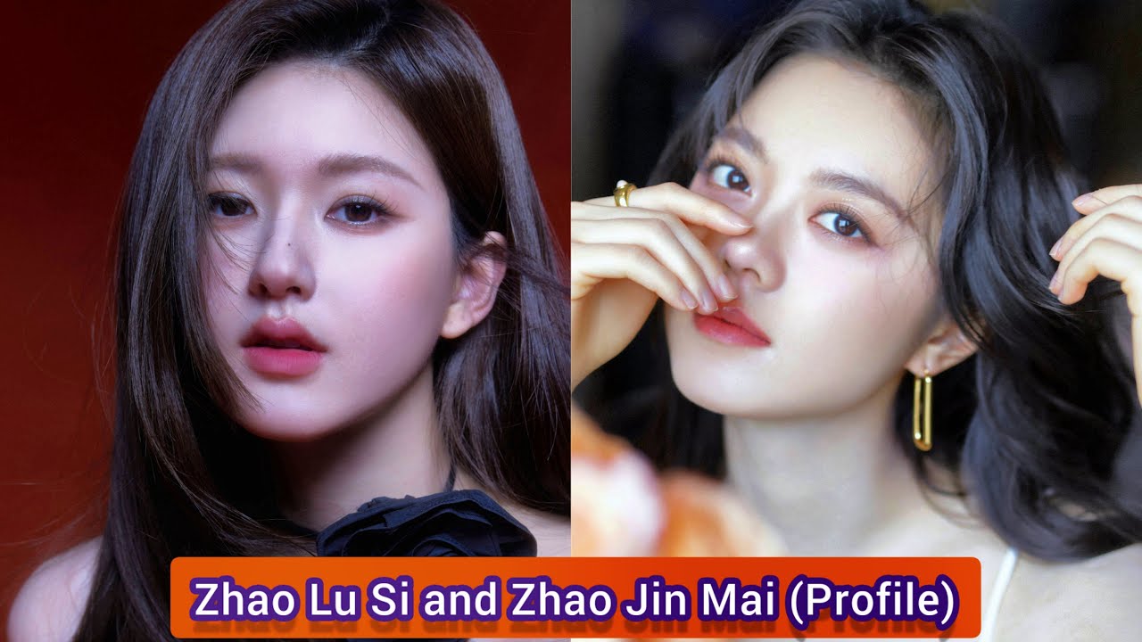 Zhao Jin Mai (Amidst a Snowstorm of Love) and Zhao Lu Si (Hidden Love ...