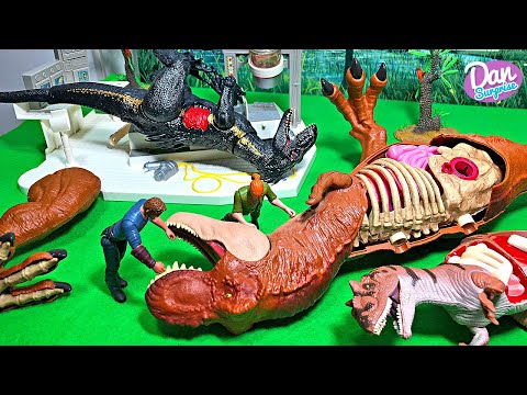 Saving Dinosaurs - T-Rex, Allosaurus, Indoraptor and more