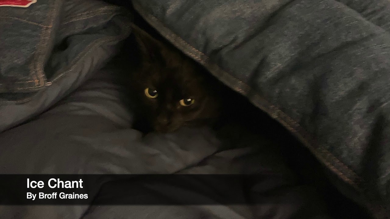 Broff Graines - Ice Chant - YouTube