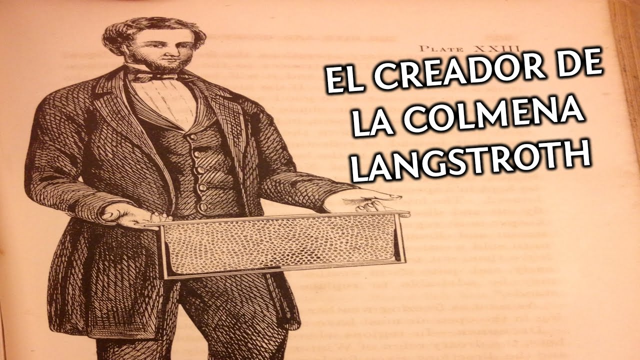 Lorenzo Langstroth y Su Legado en La Apicultura - YouTube