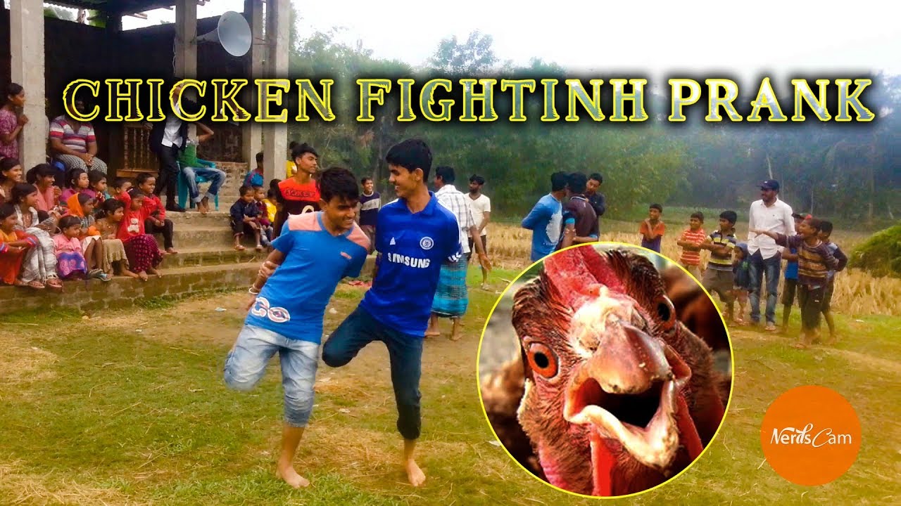 Chicken fighting prank - NerdsCam - YouTube
