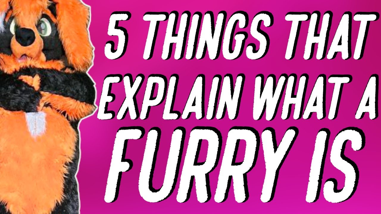 5 THINGS THAT EXPLAIN WHAT A FURRY IS - YouTube