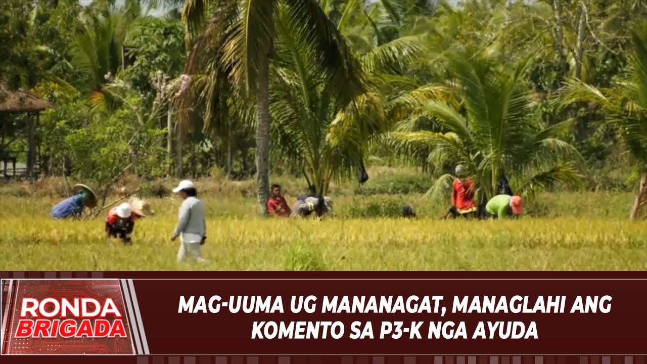 Mag-uuma ug mananagat, managlahi ang komento sa P3-K nga ayuda - YouTube