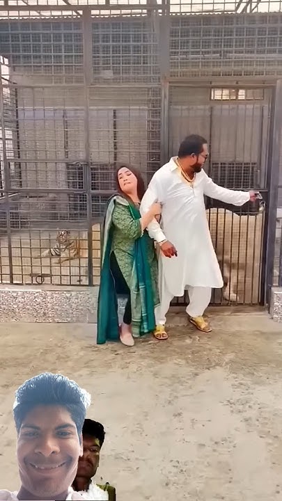 Lion Ha Cat Ni😎#ytshorts #lion#animals#petlover - YouTube