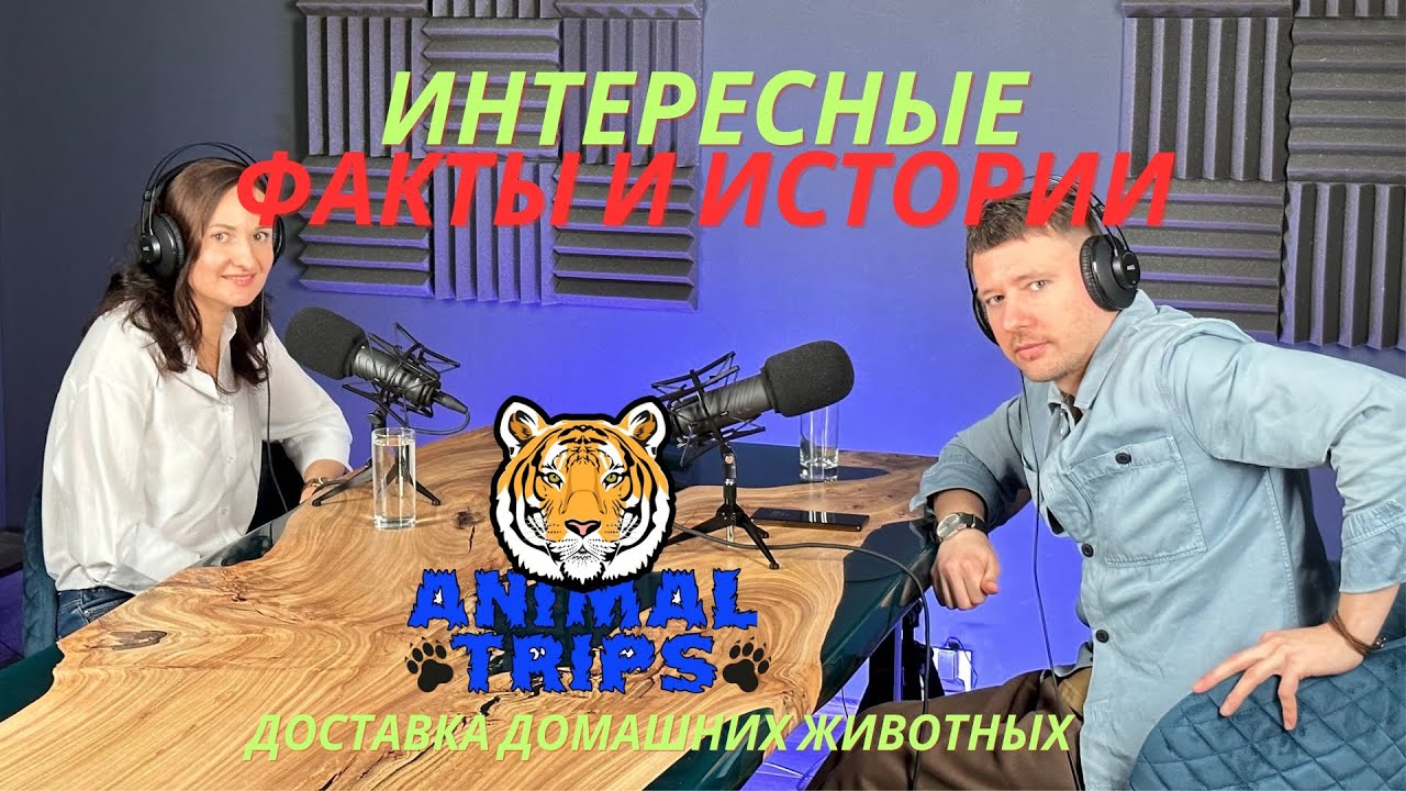 Секреты Перевозки Животных с Натальей Кулясовой | Подкаст от Animal ...