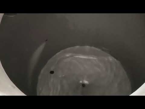 Beer brewery system - Tangential whirlpool inlet - YouTube