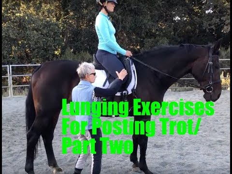 Rider Biomechanics: Lunging Exercises for Posting Trot/Part Two - YouTube