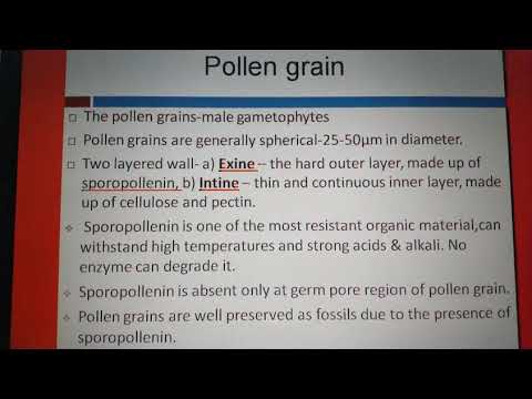 Sexual reproduction in flowering plant(part 2)/chapter 2 XII Bio/Pollen ...