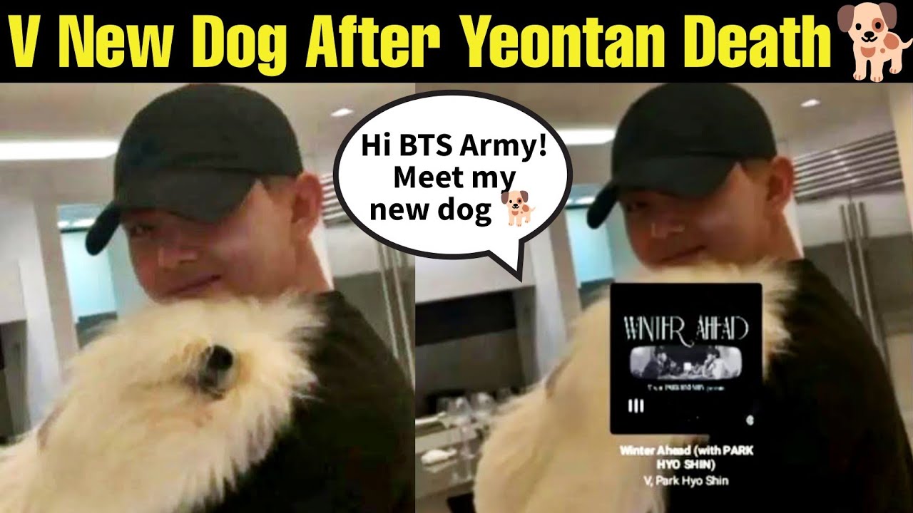 BTS V New Dog After Yeontan Death 🐕 Taehyung Buys New Dog 🐶 BTS V New ...