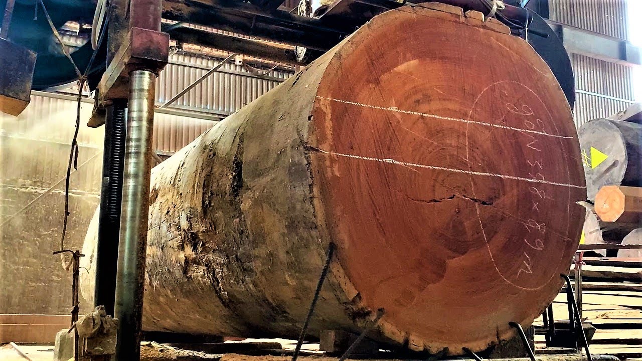 Amazing Sawmill Wood Cutting-The Great Sawmill Wood Cutting Extremely ...