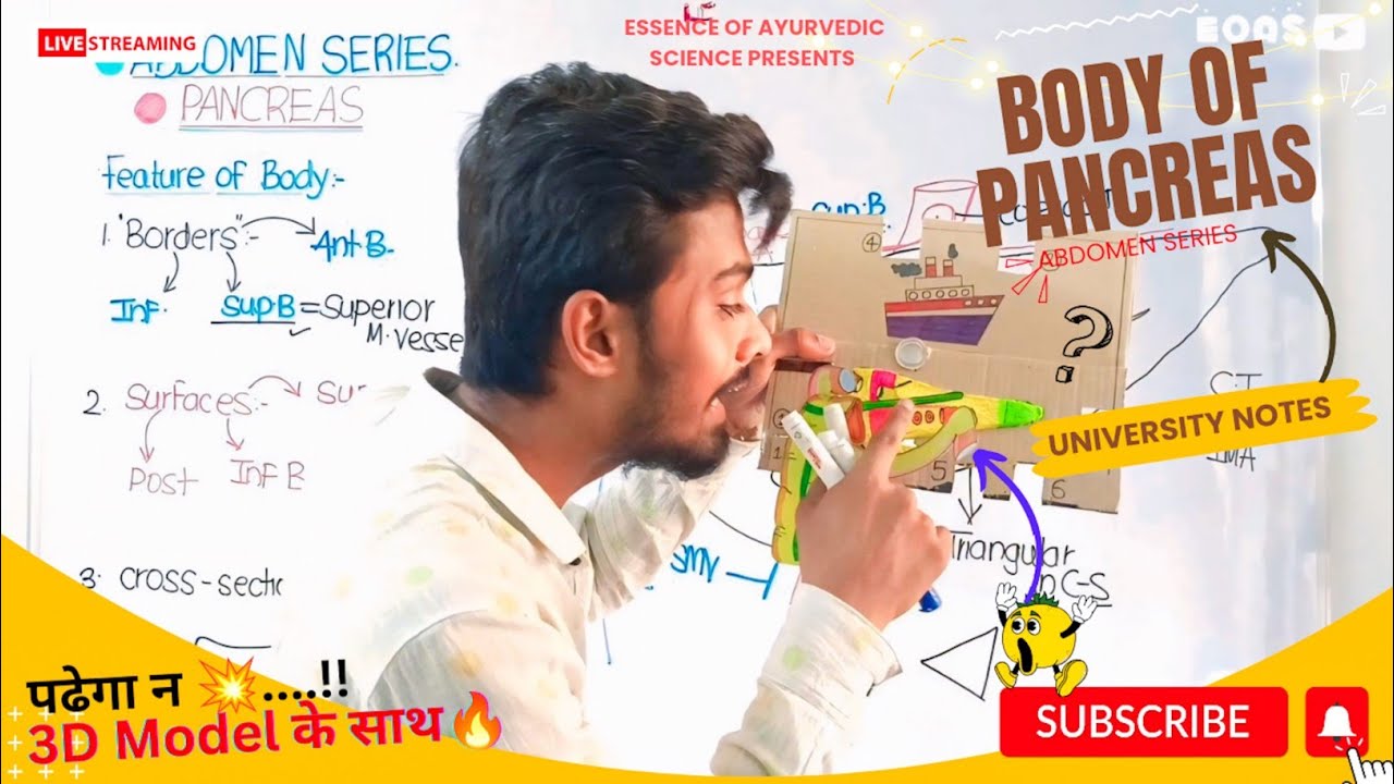 🎁PANCREAS ANATOMY with MODEL💥| ️Abdomen💥|🌟BODY OF PANCREAS(1/2 ...