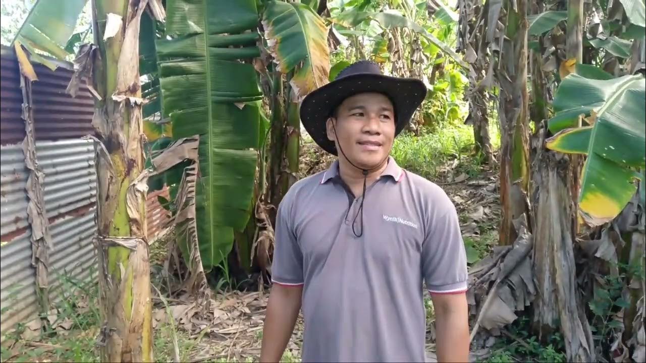 Wag Kasi madamot,takot ka Pala eh. - YouTube Wag Kasi madamot,takot ka Pala eh. - YouTube