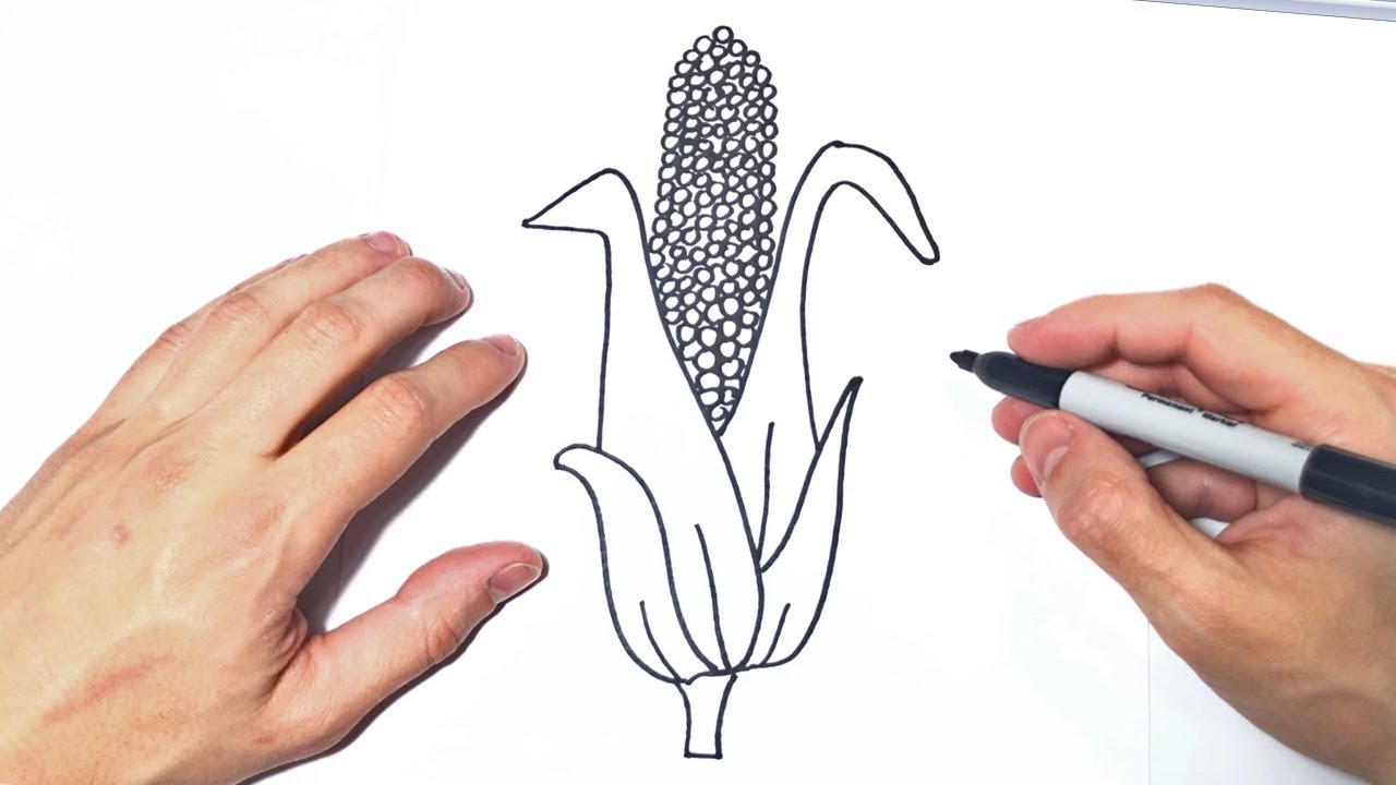 Como dibujar una Mazorca de Maiz o Millo - YouTube