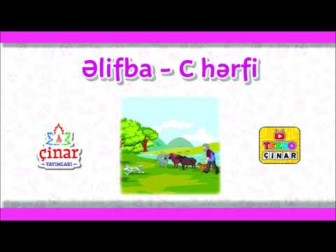 Papi əlifba öyrənir. C hərfi