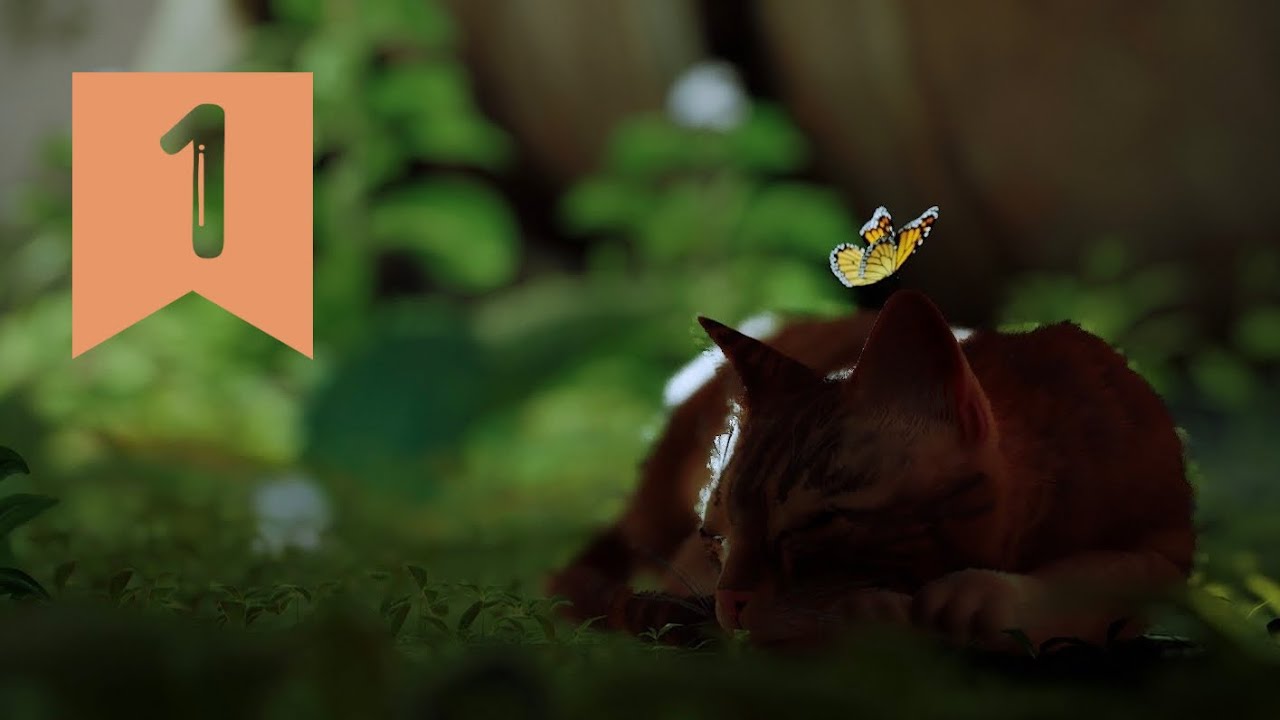 Stray - Chapter 1 - INSIDE THE WALLS (Gameplay Walkthrough) - YouTube