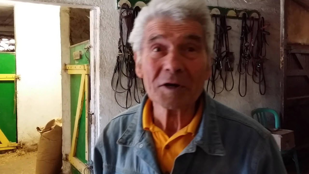 Jean Yves Bonnet, le cheval au cœur - YouTube