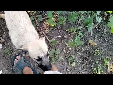 Валік на велосипеть - YouTube