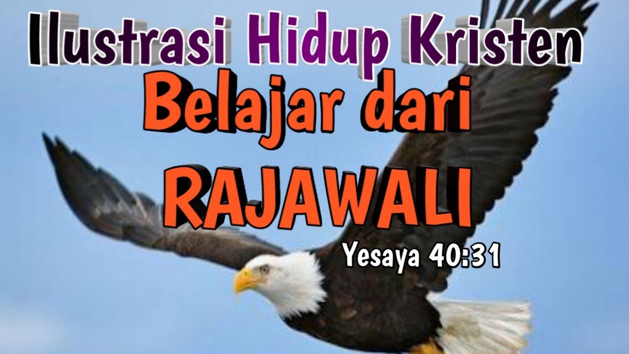 Ilustrasi kehidupan kristen Belajar dari burung Rajawali - Motivasi ...