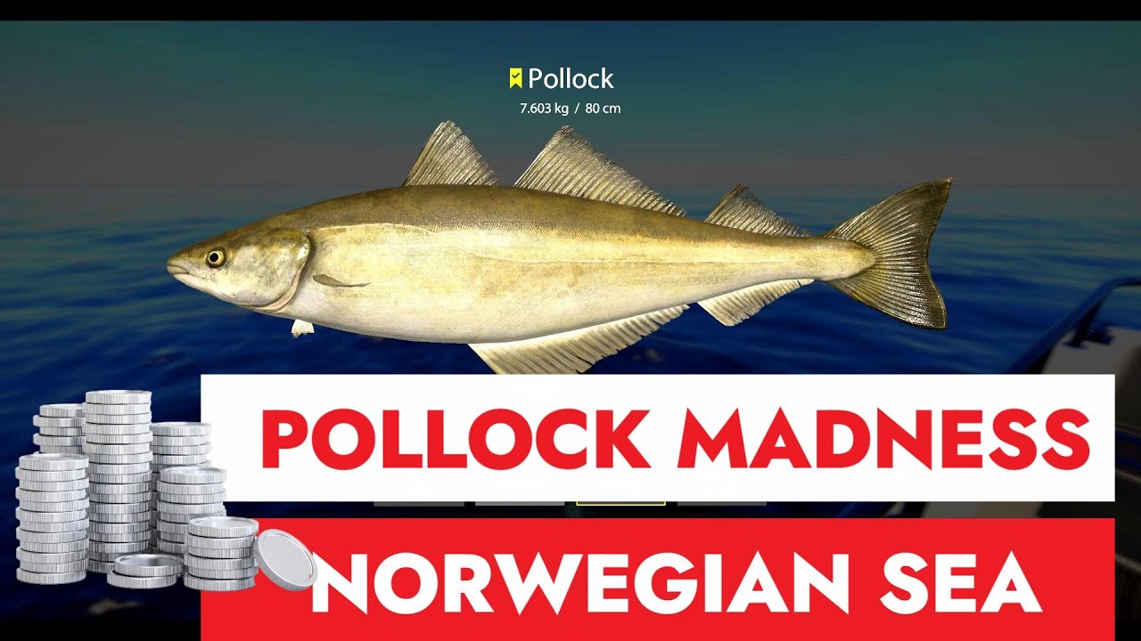 RUSSIAN FISHING 4 - NORWEGIAN SEA - POLLOCK SPOT SILVER FARMING - YouTube