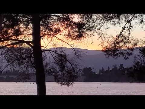 Grandma Bonelli Lake August D