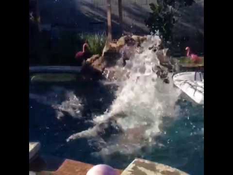 Nestea Plunge - YouTube