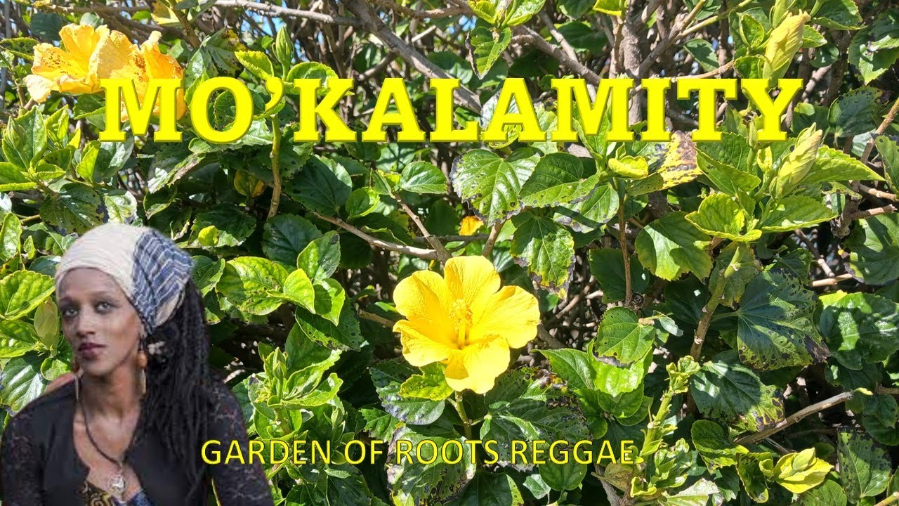 MO'KALAMITY | STRUGGLE OF THE SPIRIT | JAH LOVE | FRONTLINE | GARDEN OF ...
