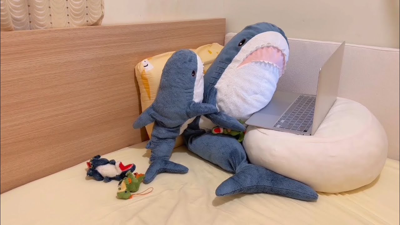 鯊鯊生氣到炸毛｜Angry haj puffed up his fur｜鯊鯊日常｜blahaj｜Blåhaj｜ikeashark｜宜家鯊魚 ...