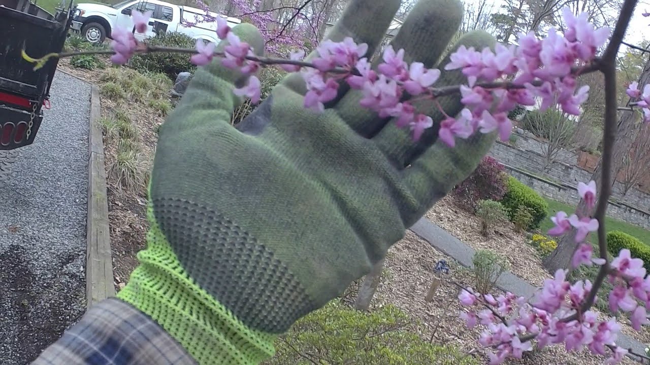 Bringing in Rip Rap and dirt to armor and restore a bank - YouTube