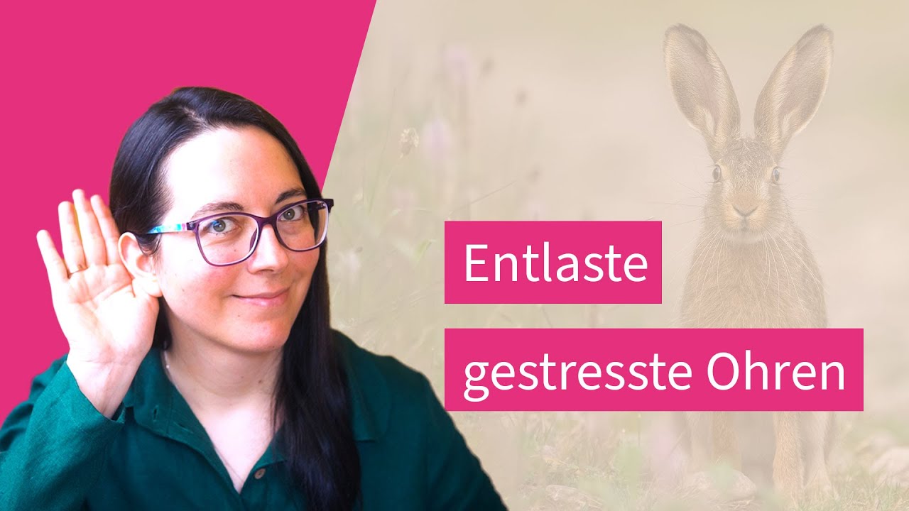 Hilfe für gestresste Ohren bei Ohrgeräuschen| Impulse für Heilung - YouTube