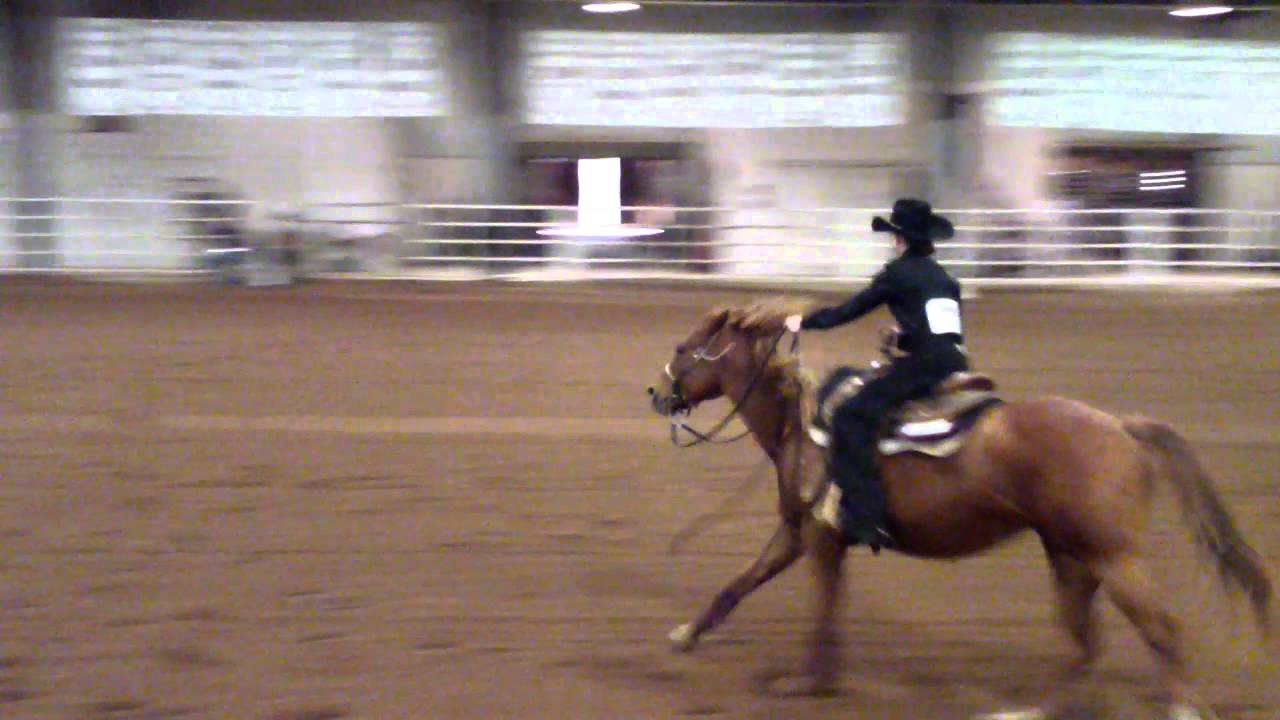 Whit IEA Reining 1(2) - YouTube