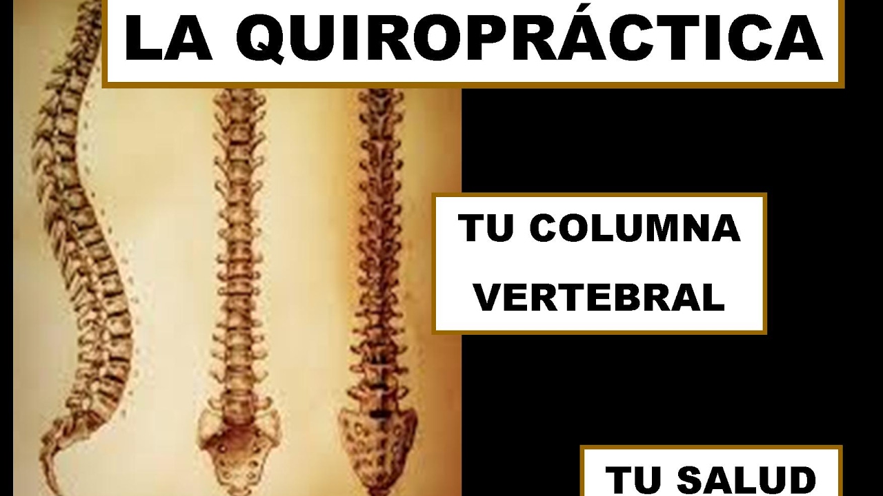QUIROPRACTICO GETXO MEDIKOSTA VIZCAYA CHIROPRACTOR QUIROPRACTICA GETXO ...