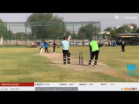 Live Cricket Match | Brahma Eleven vs Jaipur Pink Panthers | 01-Dec-24 ...