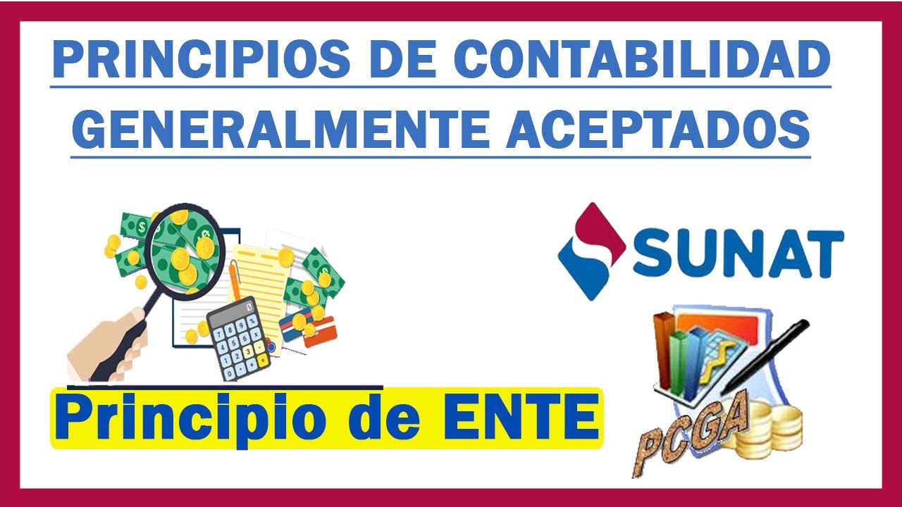 Principios de Contabilidad principio de Ente concepto y casos prácticos ...