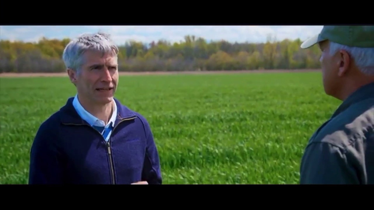 Day 1. Fundamental Elements of Life - Light and Water. Professor Stuart ...