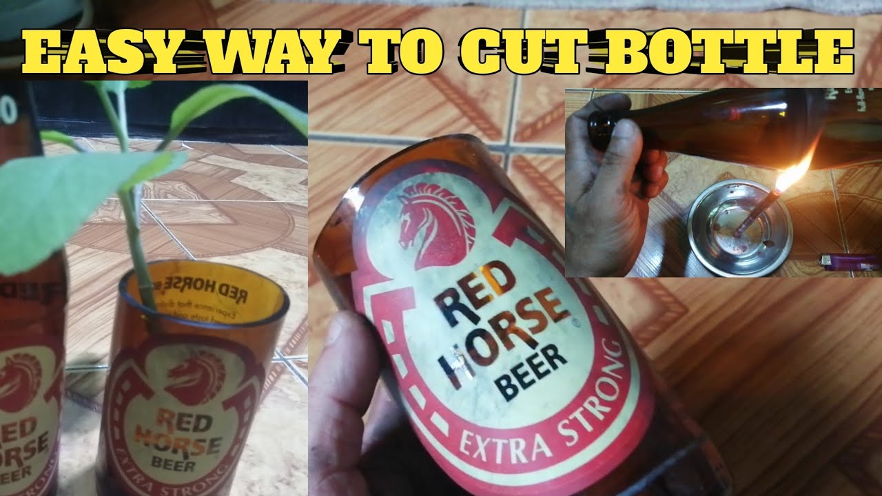 Paano gawing baso ang bote NG alak. how to cut bottle of Redhorse - YouTube
