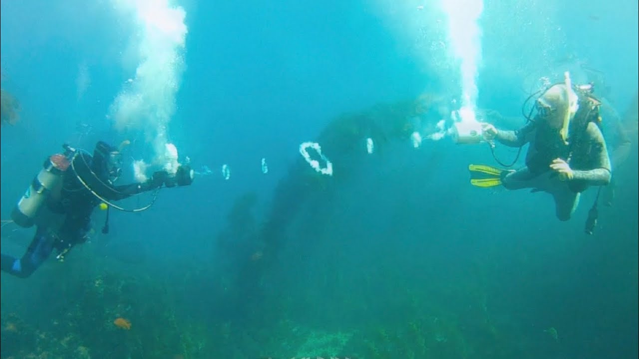 Torid Pulse Colliding Bubble Rings - YouTube